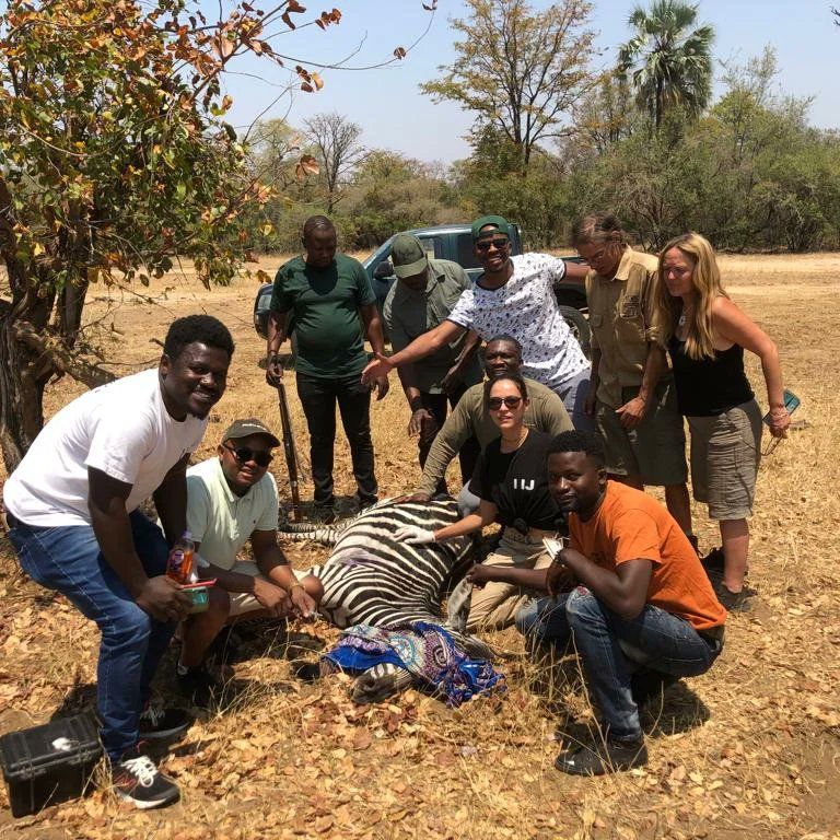 Jeffery Mwila on LinkedIn: Human-wildlife conflict endangers wildlife ... Jeffery Mwila on LinkedIn: Human-wildlife conflict endangers wildlife ...