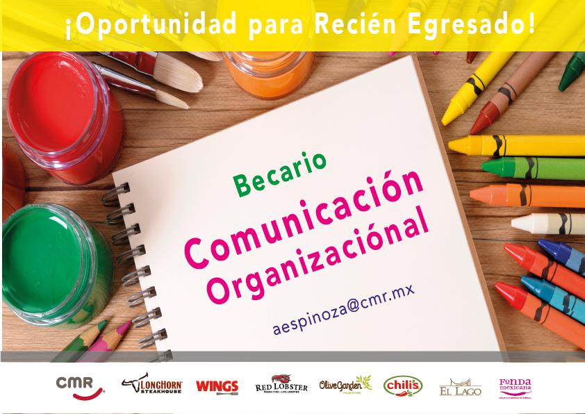 CMR - México on LinkedIn: ¡En CMR creemos en el talento de los recién ... CMR - México on LinkedIn: ¡En CMR creemos en el talento de los recién ...