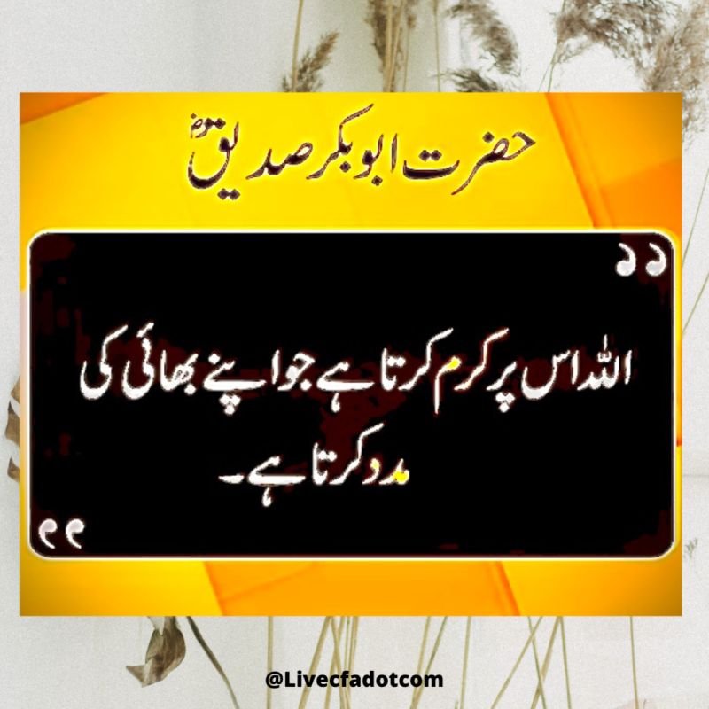 urooj fatima posted on LinkedIn urooj fatima posted on LinkedIn