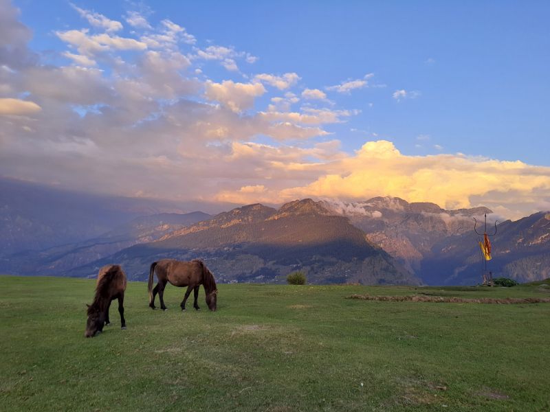 Akashdeep singh kahlon on LinkedIn: #manali Akashdeep singh kahlon on LinkedIn: #manali