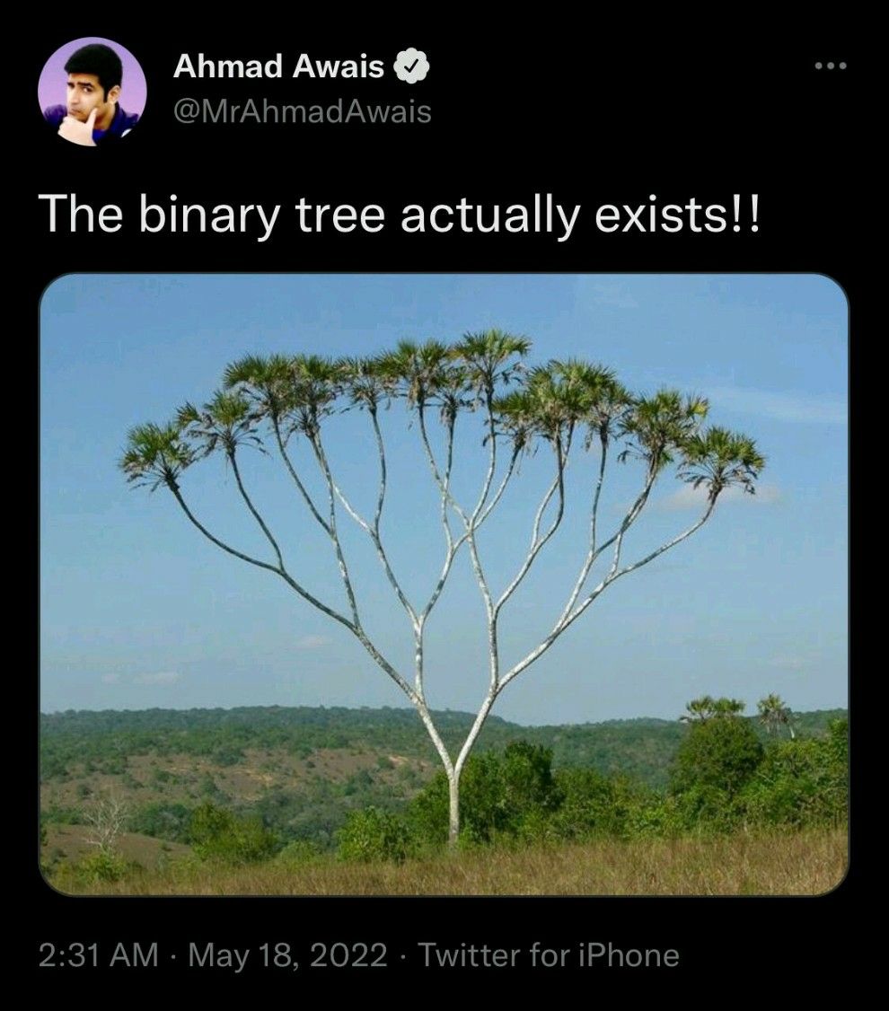 Neeraj Meena on LinkedIn: #dsacoding #programmer #dev #binary # ... Neeraj Meena on LinkedIn: #dsacoding #programmer #dev #binary # ...
