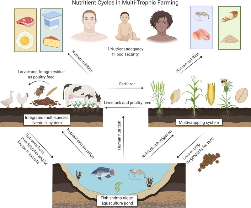 Geovane Oliveira on LinkedIn: Review: Closing nutrient cycles for ... Geovane Oliveira on LinkedIn: Review: Closing nutrient cycles for ...