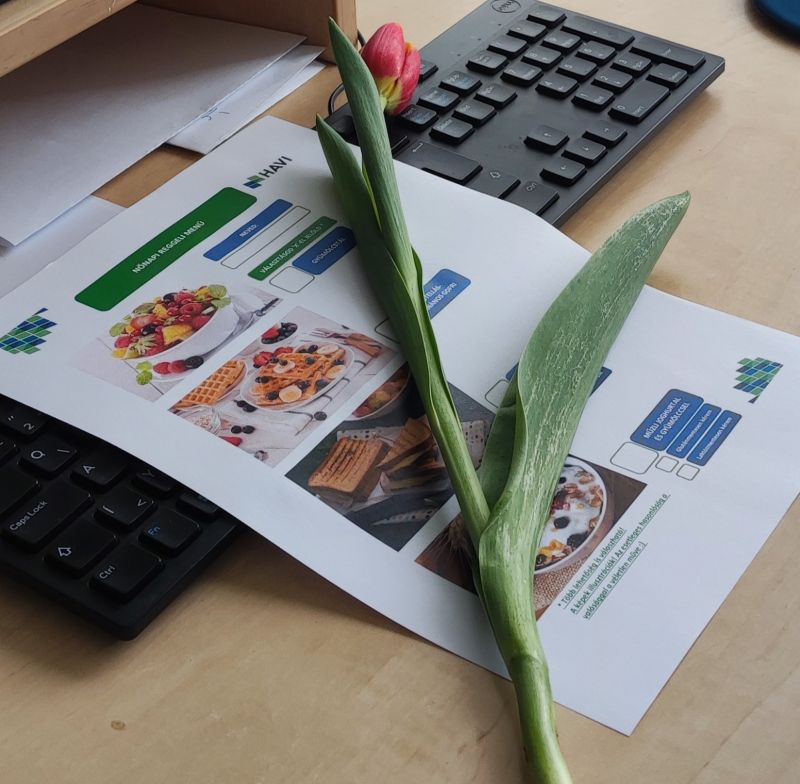 Balazs David on LinkedIn: Today we celebrate International Women’s Day ... Balazs David on LinkedIn: Today we celebrate International Women’s Day ...