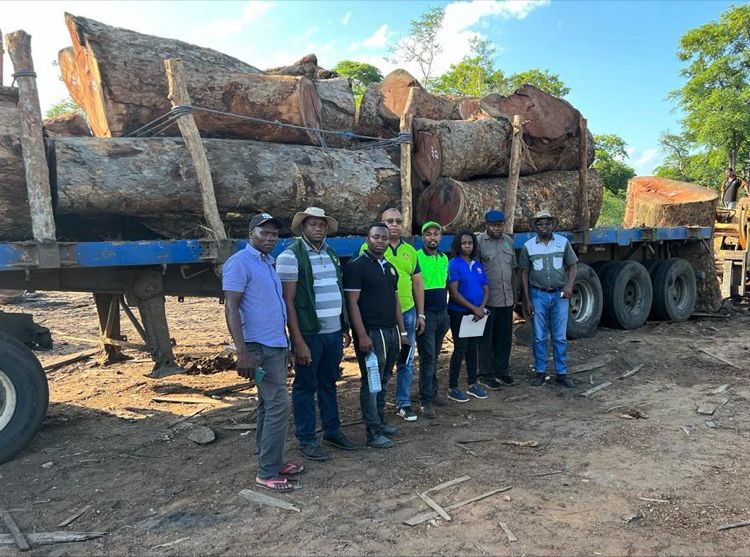 Andrew McEwan on LinkedIn: CMO’s Luther Zuma carrying out a log ... Andrew McEwan on LinkedIn: CMO’s Luther Zuma carrying out a log ...