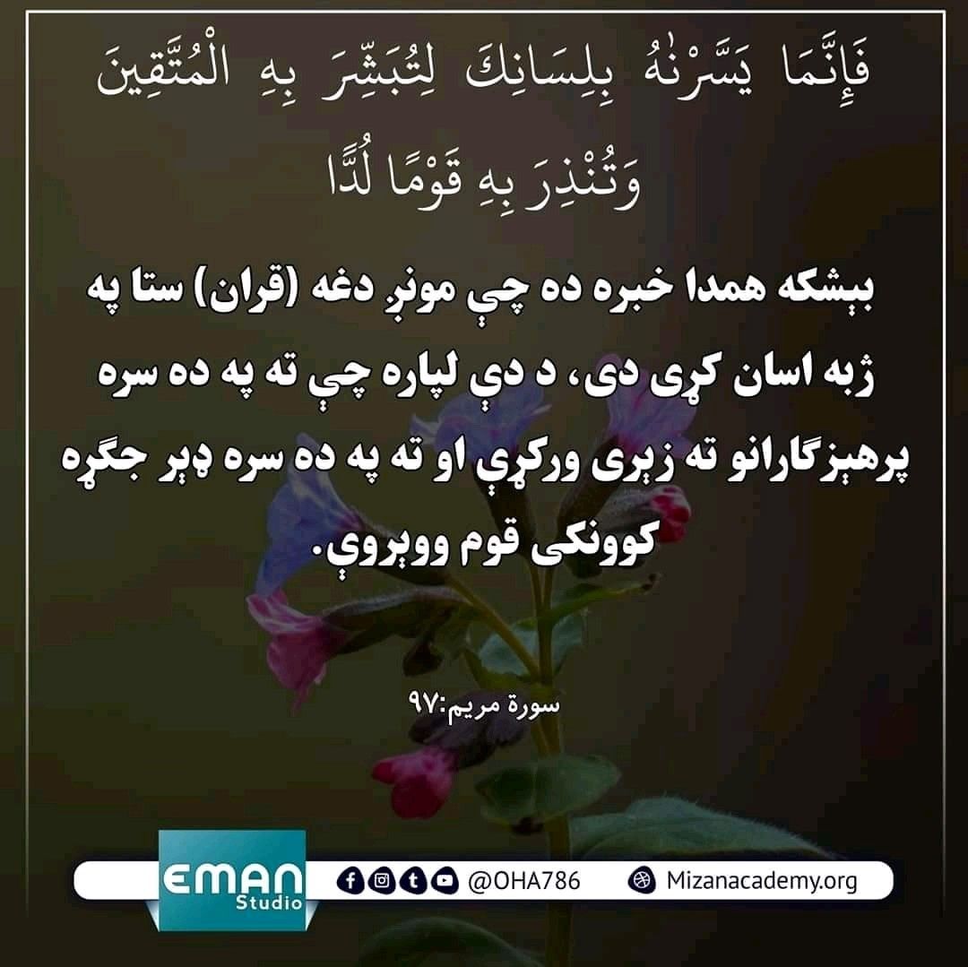 Muhammad Shafiq Muhammadi posted on LinkedIn Muhammad Shafiq Muhammadi posted on LinkedIn