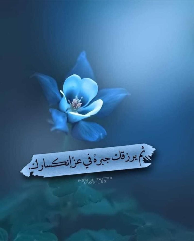 Mohamed Ali Hamdi posted on LinkedIn Mohamed Ali Hamdi posted on LinkedIn