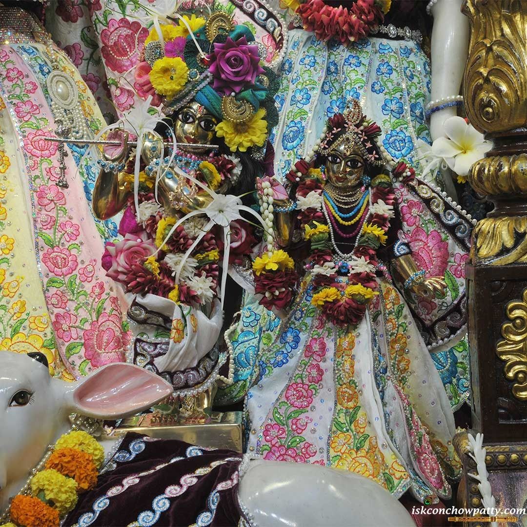 Ankit Jangid on LinkedIn: Jai Shree Krishna π¦ Ankit Jangid on LinkedIn: Jai Shree Krishna π¦