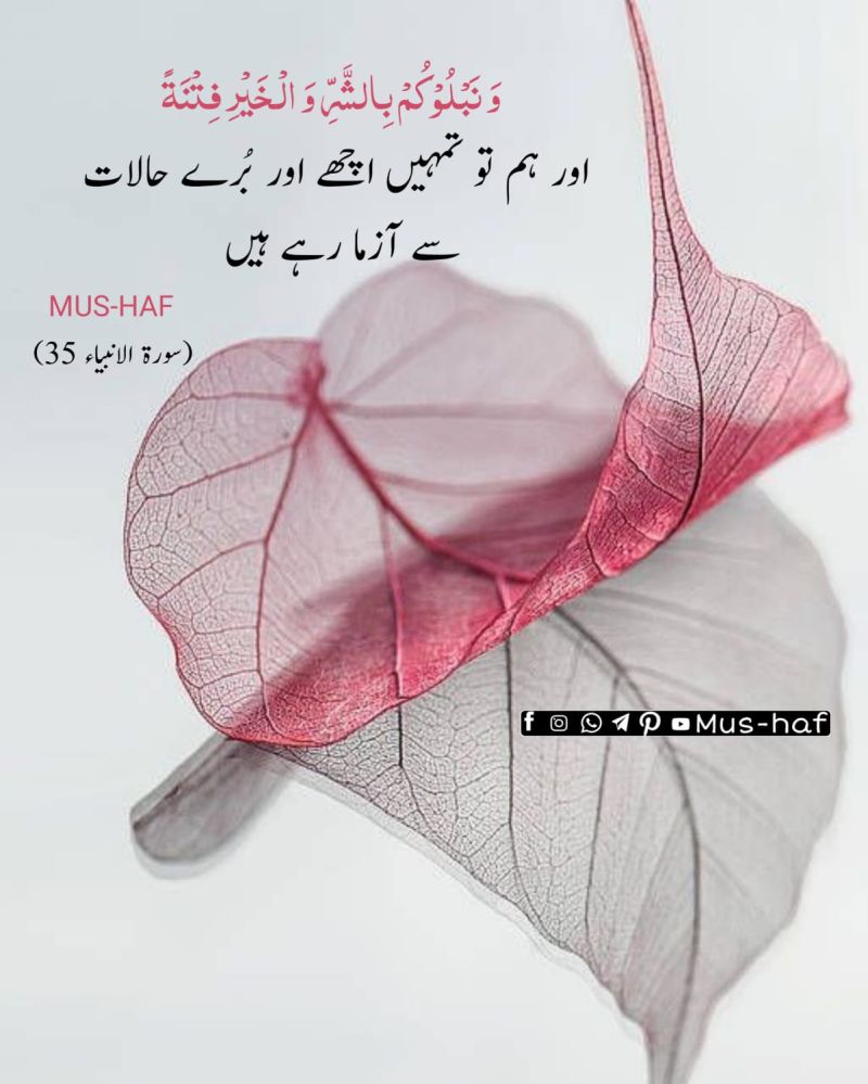 Tahira Sajad posted on LinkedIn Tahira Sajad posted on LinkedIn