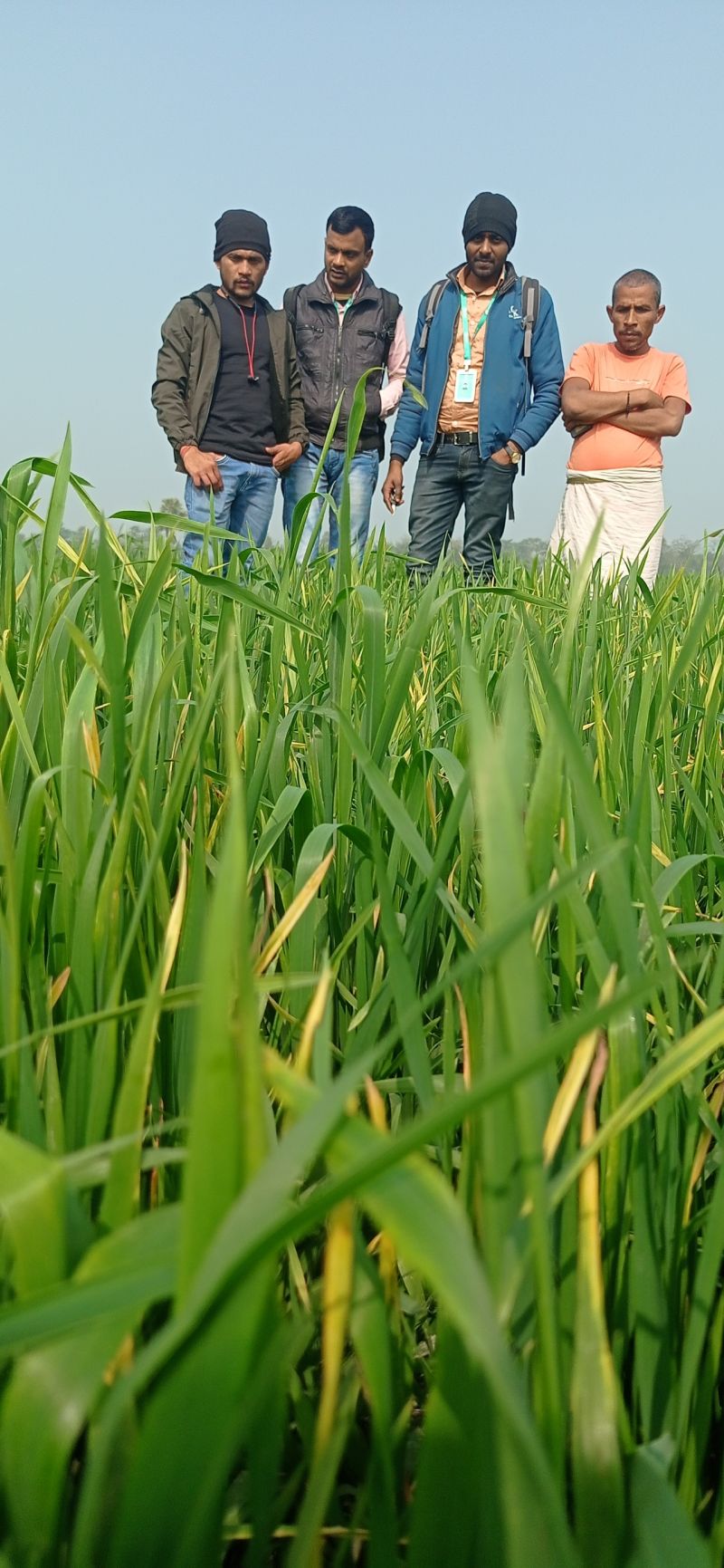 Akash kumar on LinkedIn: #farming #training Akash kumar on LinkedIn: #farming #training