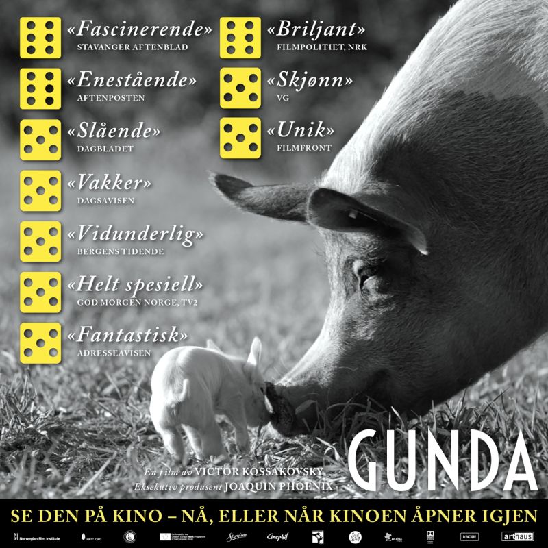 Anita Rehoff Larsen on LinkedIn: GUNDA with Great reviews in Norwegian ... Anita Rehoff Larsen on LinkedIn: GUNDA with Great reviews in Norwegian ...