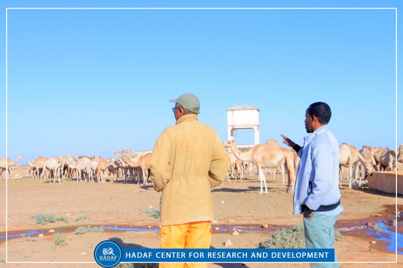 Mohamed Said Farah on LinkedIn: #sanaag #puntland Mohamed Said Farah on LinkedIn: #sanaag #puntland
