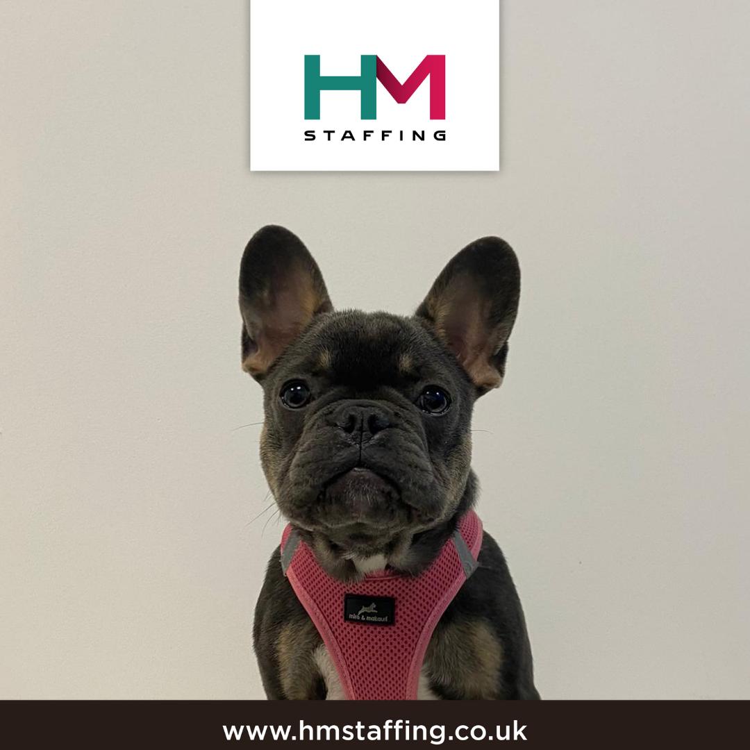 Harry Portch on LinkedIn: Definitely my favourite colleague...! Harry Portch on LinkedIn: Definitely my favourite colleague...!