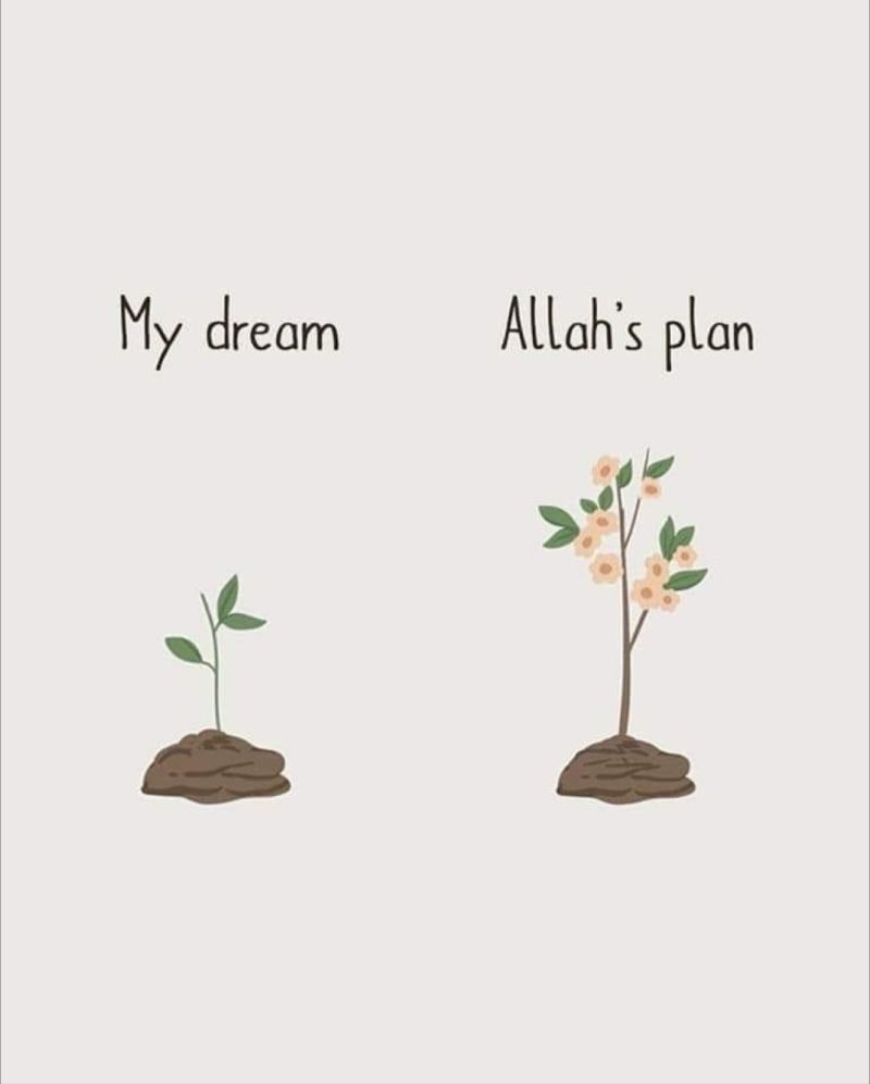 Yasser Abdul Rehman on LinkedIn: 💕 Yasser Abdul Rehman on LinkedIn: 💕