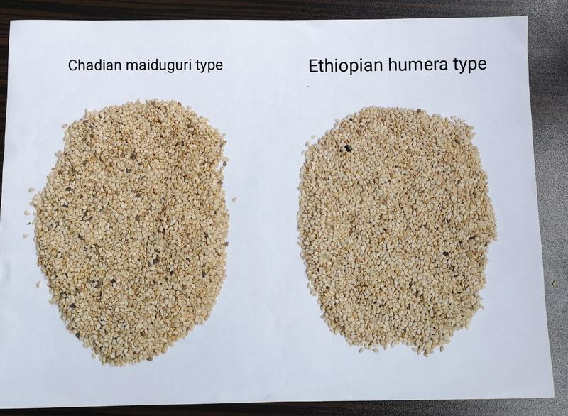 Mujahed Aladnan posted on LinkedIn Mujahed Aladnan posted on LinkedIn