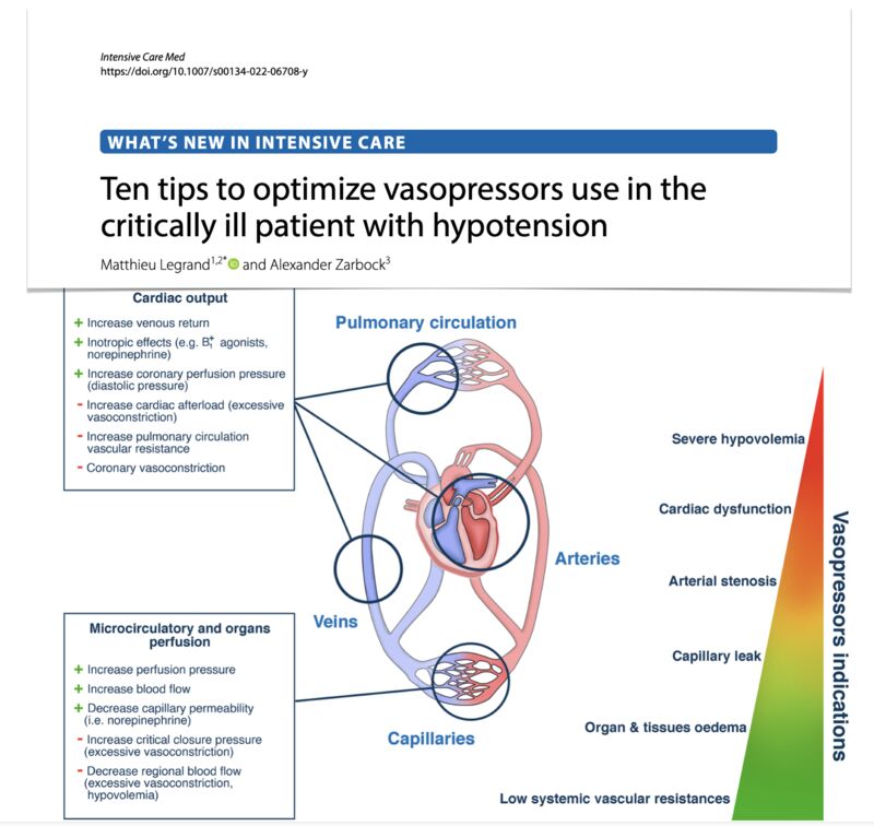 Velia Marta Antonini on LinkedIn: 10 tips to optimize vasopressors use ... Velia Marta Antonini on LinkedIn: 10 tips to optimize vasopressors use ...