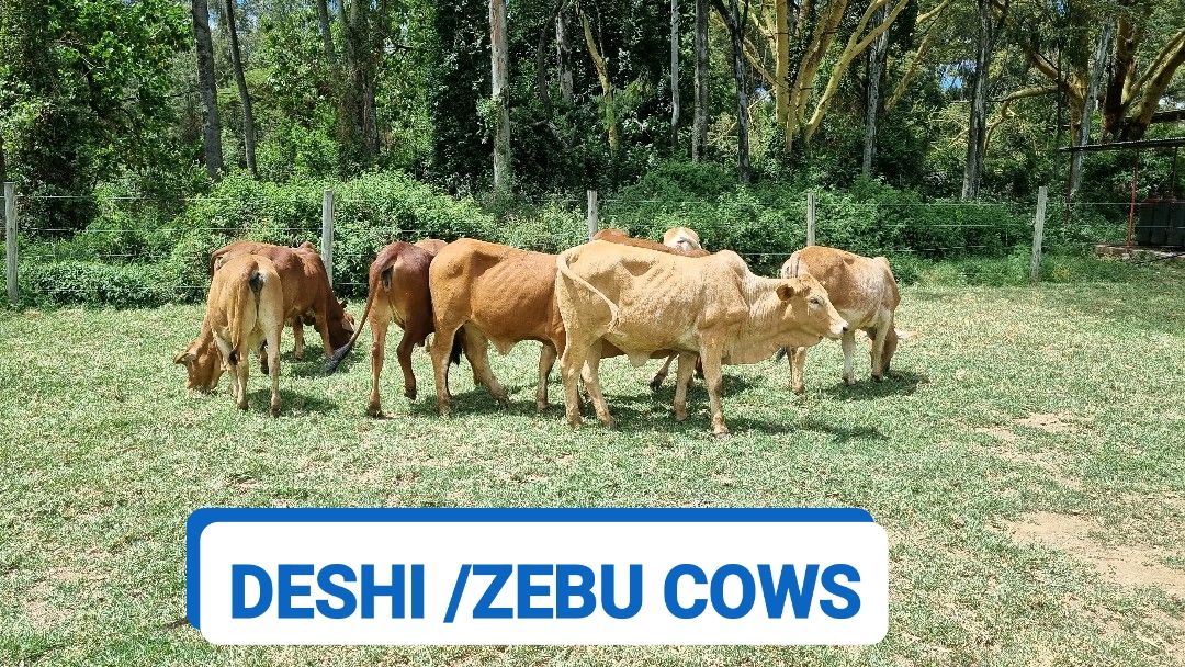 Sushant Patil on LinkedIn: #sustainableagriculture Sushant Patil on LinkedIn: #sustainableagriculture