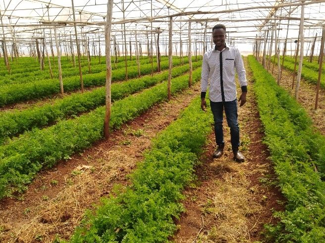 kudzai rusere on LinkedIn: Receiving a lecture ,carrot in greenhouse. kudzai rusere on LinkedIn: Receiving a lecture ,carrot in greenhouse.