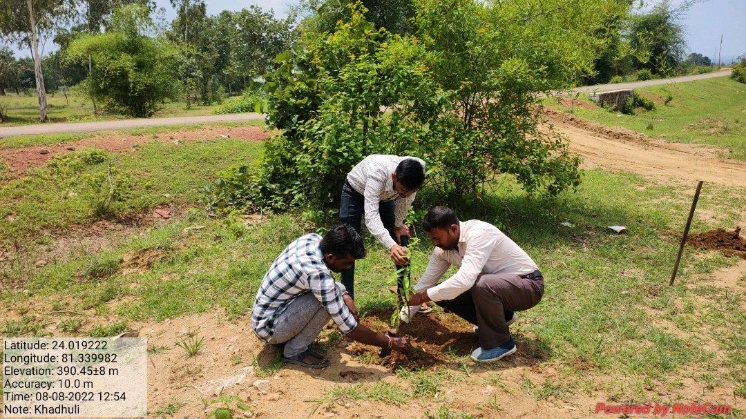 Ankit Kumar Gupta on LinkedIn: Save tree Environment save Ankit Kumar Gupta on LinkedIn: Save tree Environment save