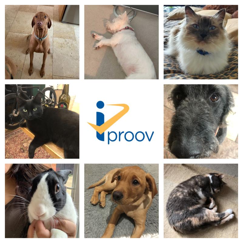 iProov on LinkedIn: #workfromhome #wfh #iproov #onboarding # ... iProov on LinkedIn: #workfromhome #wfh #iproov #onboarding # ...