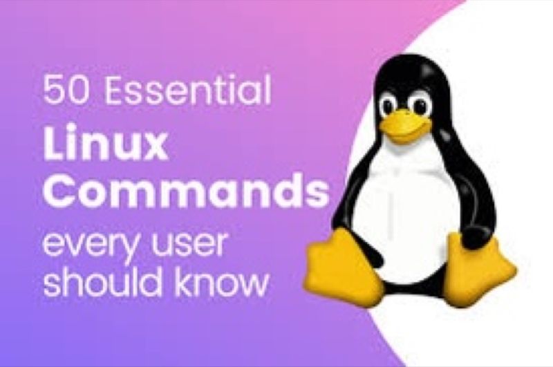 Kevin Grunewald on LinkedIn: Top 50 essential Linux Commands every user ... Kevin Grunewald on LinkedIn: Top 50 essential Linux Commands every user ...