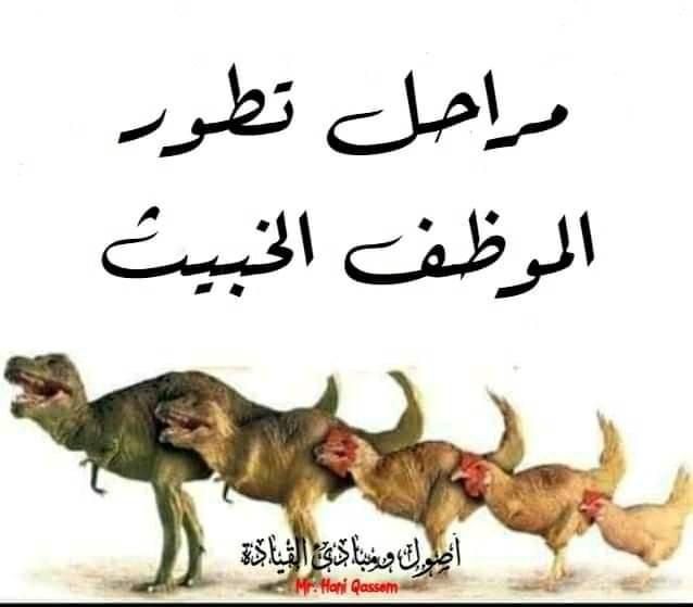 walid ben hadj ali posted on LinkedIn walid ben hadj ali posted on LinkedIn