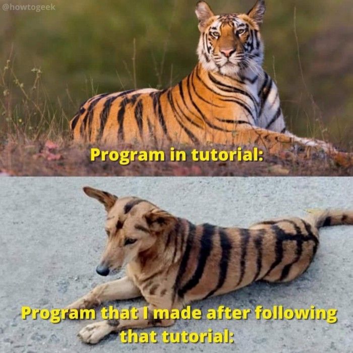 Saanvi Sen on LinkedIn: #memes #memeoftheweek #memes2021 #programmer # ... Saanvi Sen on LinkedIn: #memes #memeoftheweek #memes2021 #programmer # ...
