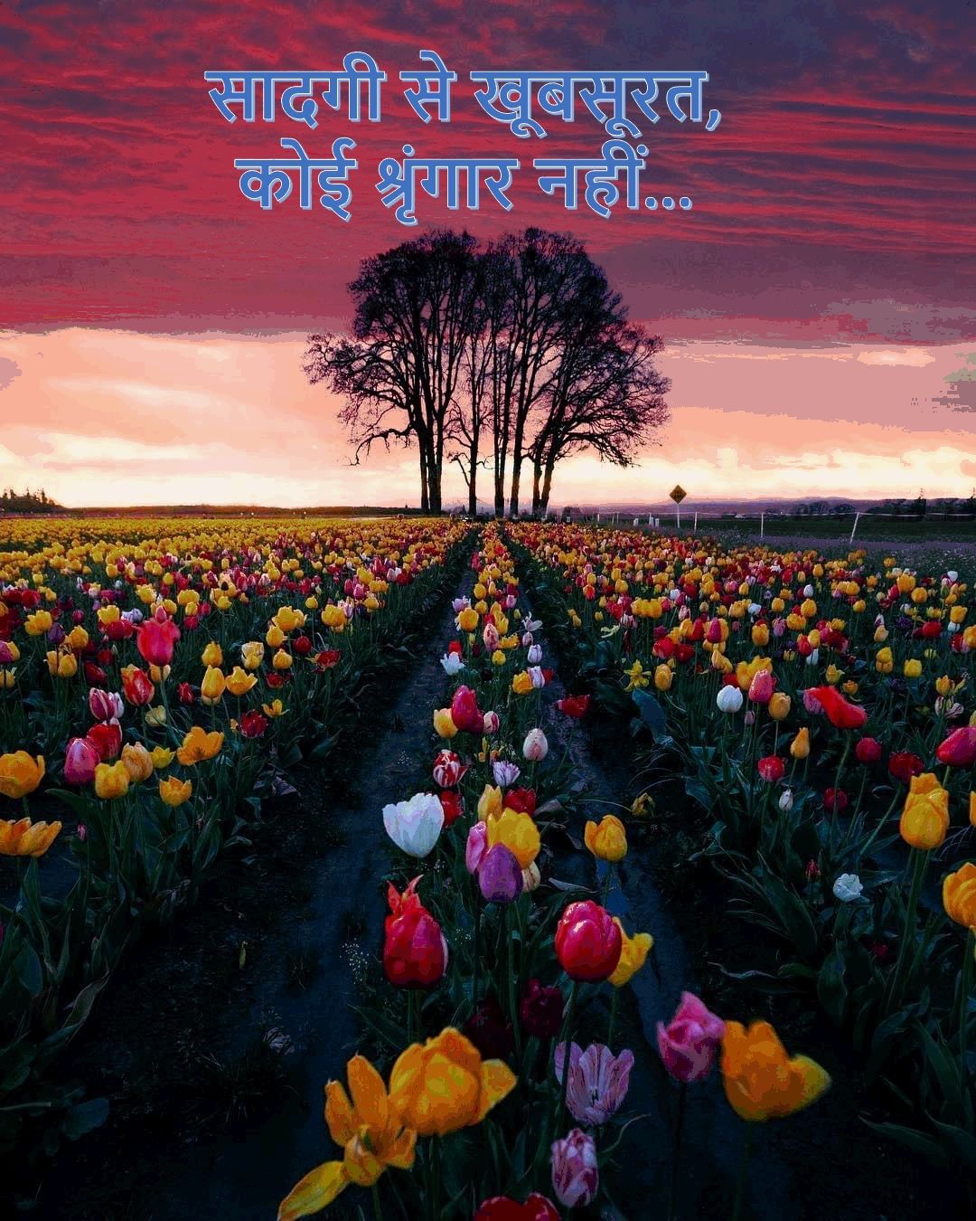 varun mudgal on LinkedIn: SAADGI....!! varun mudgal on LinkedIn: SAADGI....!!