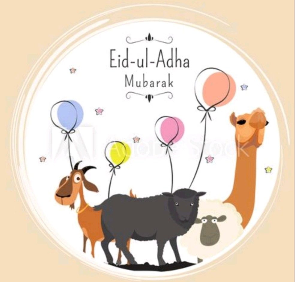 seemab Ashraf on LinkedIn: #eidaladha seemab Ashraf on LinkedIn: #eidaladha