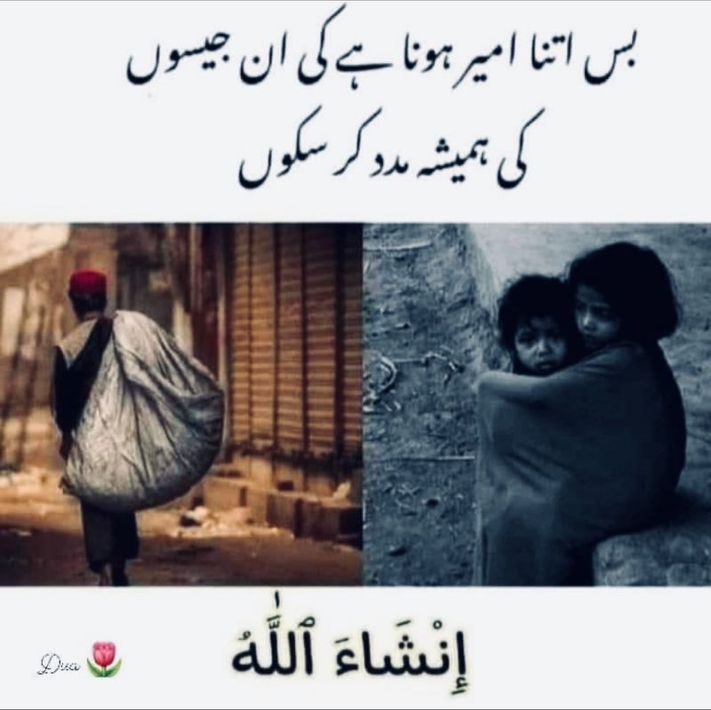 IQRA khan posted on LinkedIn IQRA khan posted on LinkedIn