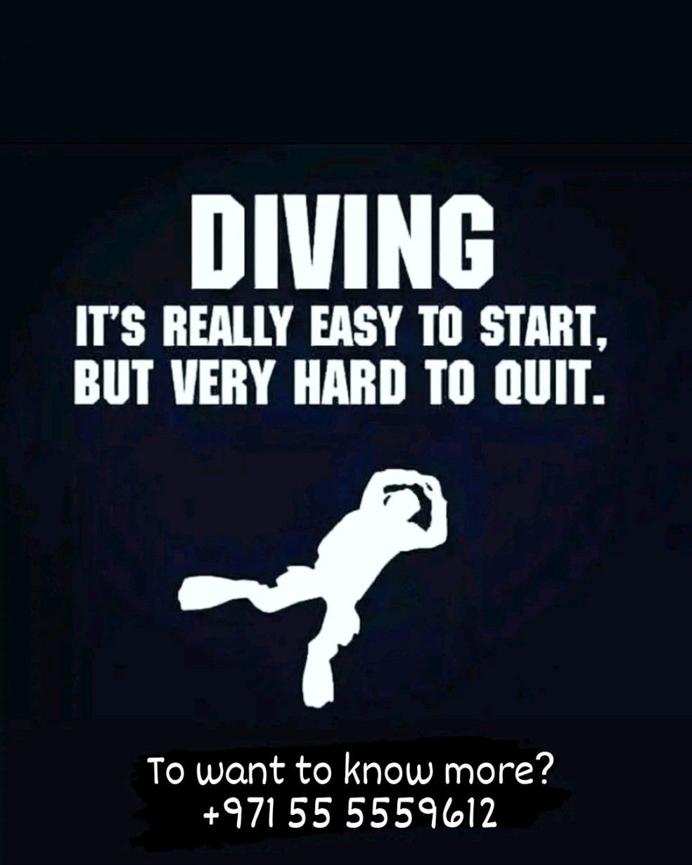 mahmoud saad on LinkedIn: #padi mahmoud saad on LinkedIn: #padi