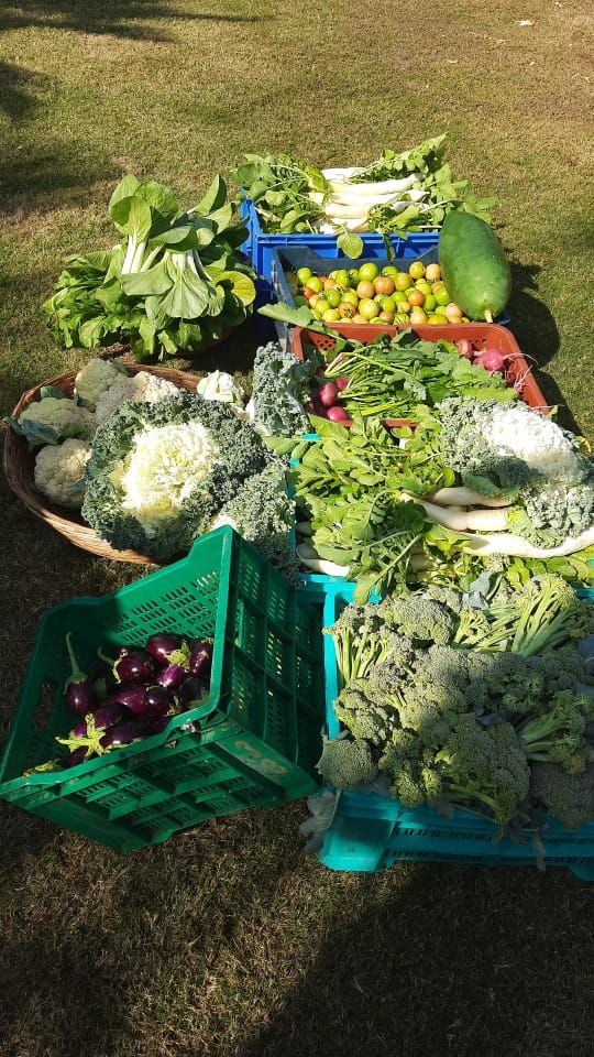 Neeraj Kumar Singh on LinkedIn: #farming Neeraj Kumar Singh on LinkedIn: #farming