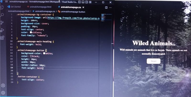 Pavithra Ganesan on LinkedIn: #html #css #project Pavithra Ganesan on LinkedIn: #html #css #project