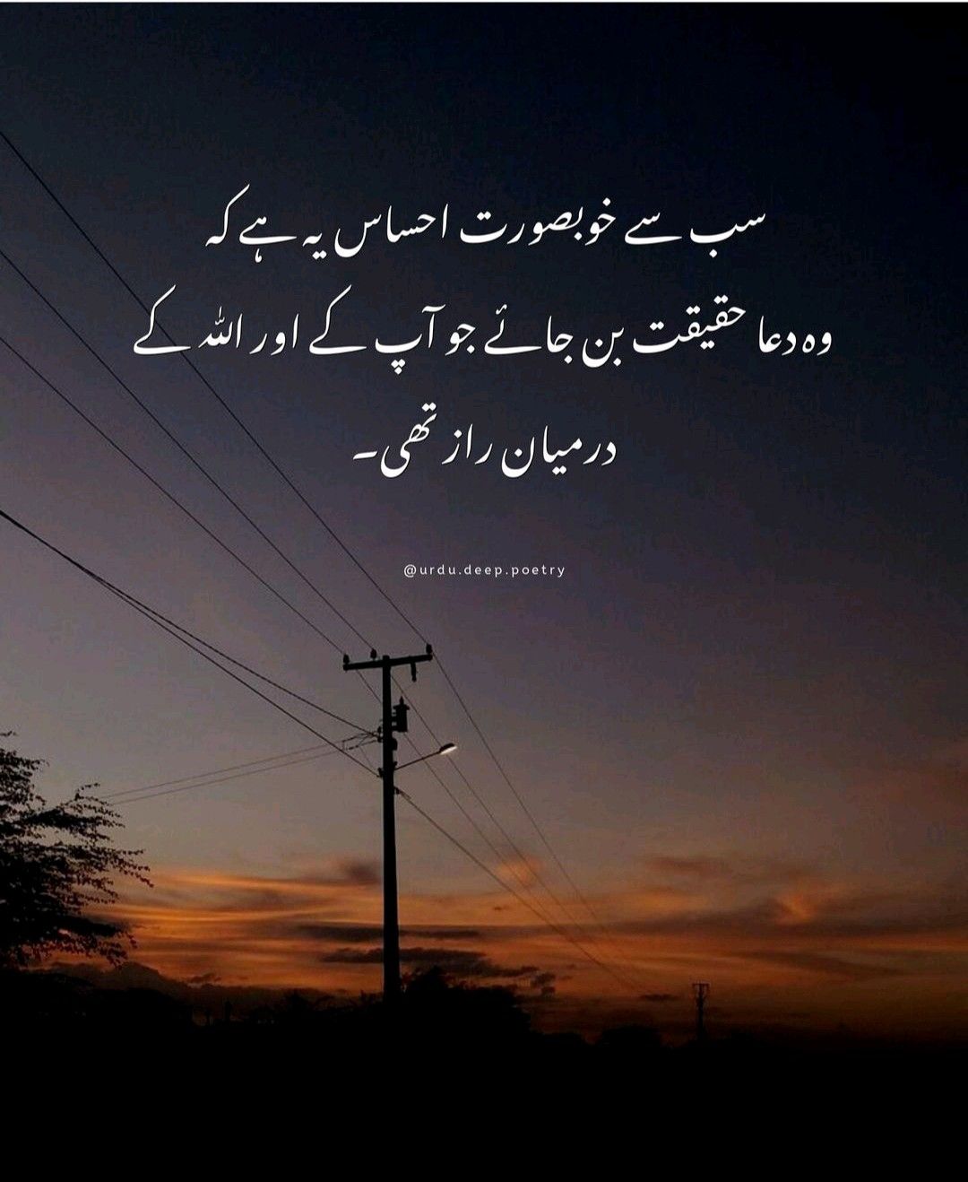 Muhammad Muzammil Shabbir posted on LinkedIn Muhammad Muzammil Shabbir posted on LinkedIn