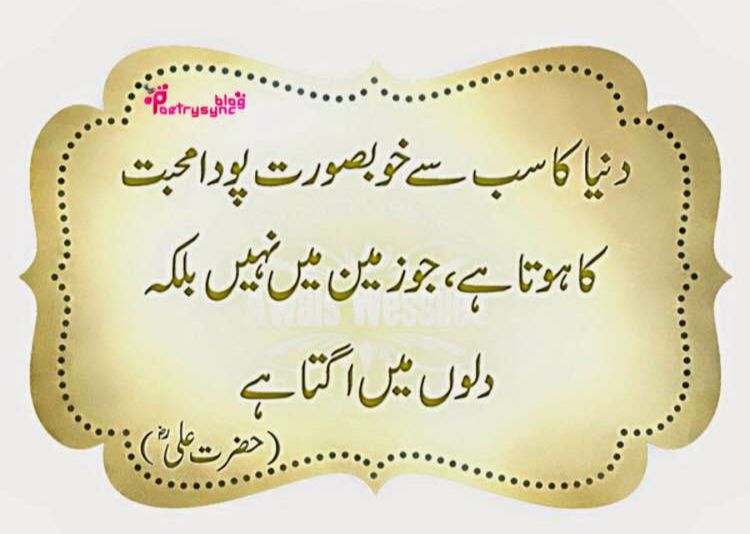 Basharat Hussain Qureshi على LinkedIn: BESHAK Basharat Hussain Qureshi على LinkedIn: BESHAK