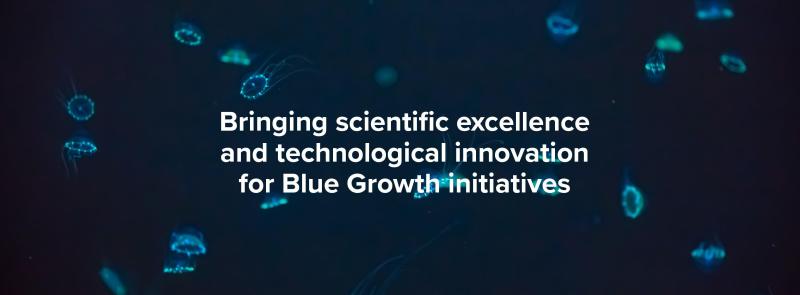 Blue Skills - OGS Sustainable Blue Economy on LinkedIn: Call for ... Blue Skills - OGS Sustainable Blue Economy on LinkedIn: Call for ...