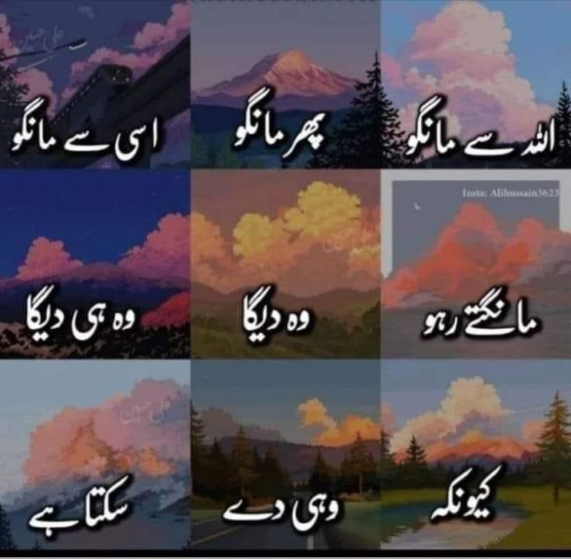 Iman Saleem posted on LinkedIn Iman Saleem posted on LinkedIn