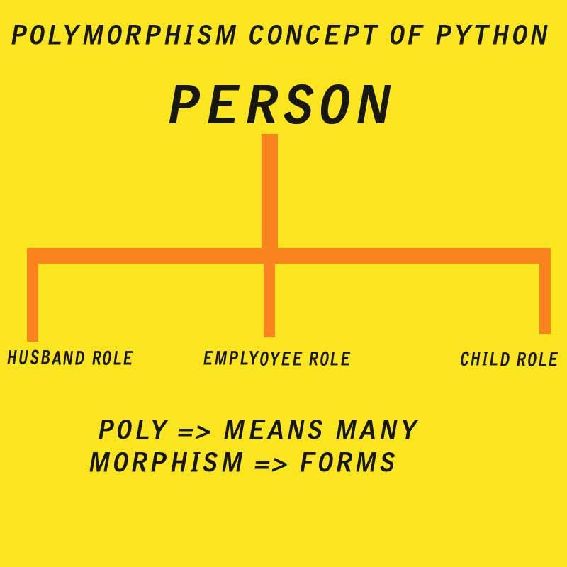 DEEPAK KUMAR SHARMA on LinkedIn: Polymorphism concept in python DEEPAK KUMAR SHARMA on LinkedIn: Polymorphism concept in python