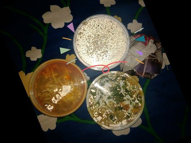 Arjun Dixit on LinkedIn: Thank you so much qurinom Solutions for Diwali ... Arjun Dixit on LinkedIn: Thank you so much qurinom Solutions for Diwali ...