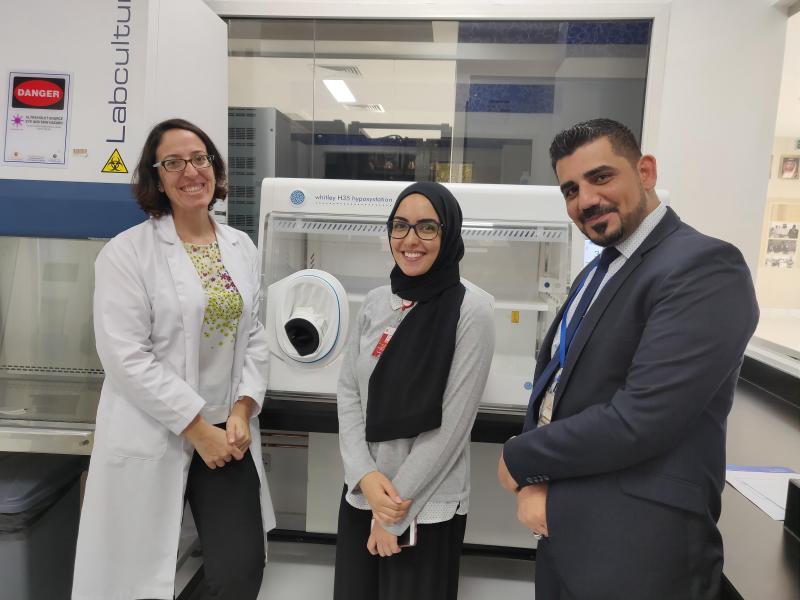 Ahmad Hameed on LinkedIn: Successful Installation DonWhitley ... Ahmad Hameed on LinkedIn: Successful Installation DonWhitley ...