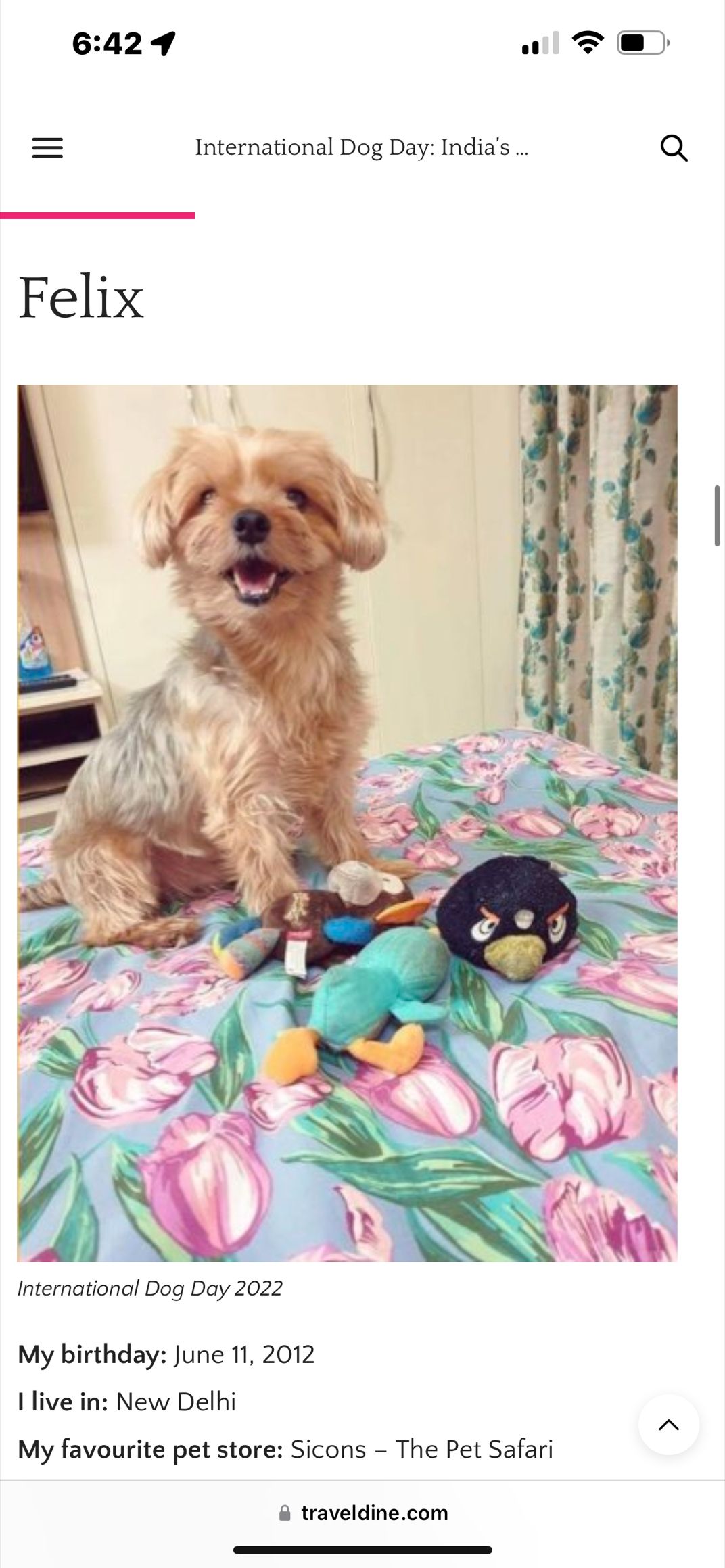 SUNJOY ARORAA on LinkedIn: Dear Friend’s My pet kid FELIX has been ... SUNJOY ARORAA on LinkedIn: Dear Friend’s My pet kid FELIX has been ...