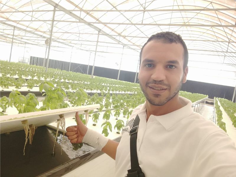 Mahmoud Elrashedy on LinkedIn: #greenhouse #agriculture #hydroponic # ... Mahmoud Elrashedy on LinkedIn: #greenhouse #agriculture #hydroponic # ...