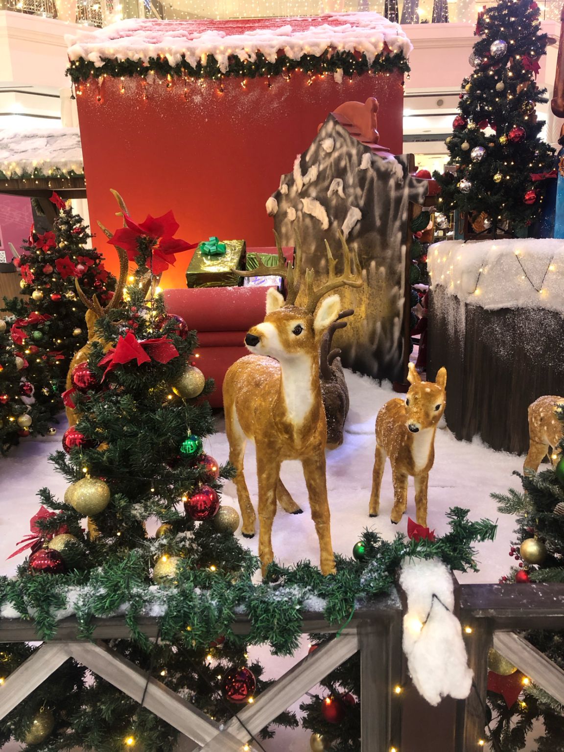 Shrook Ahmed on LinkedIn: Merry Christmas ππ Shrook Ahmed on LinkedIn: Merry Christmas ππ