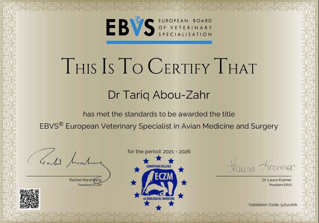 Tariq Abou-Zahr on LinkedIn: Greatest academic achievement to date and ... Tariq Abou-Zahr on LinkedIn: Greatest academic achievement to date and ...