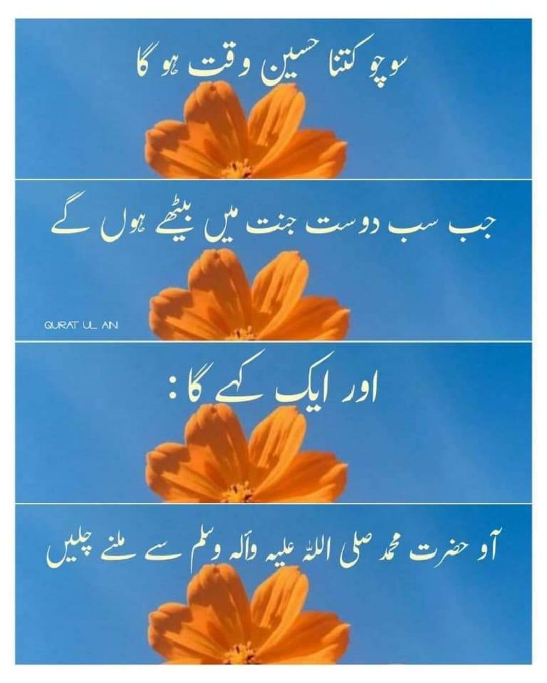 Muhammad Raza Khan on LinkedIn: 😍😢😢 Muhammad Raza Khan on LinkedIn: 😍😢😢