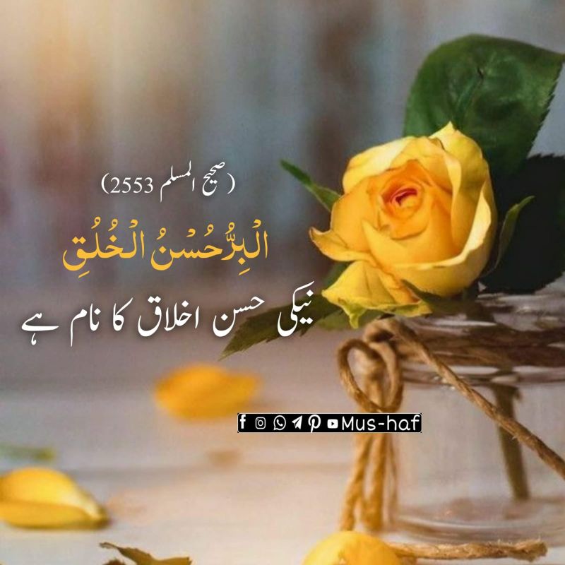 Muhammad kamran Khan posted on LinkedIn Muhammad kamran Khan posted on LinkedIn