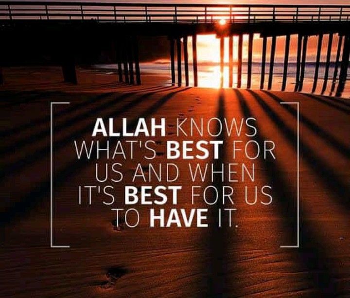 Nida Shah Aziz posted on LinkedIn Nida Shah Aziz posted on LinkedIn