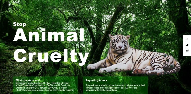 Devang soni on LinkedIn: #stopanimalcruelty #animalrights #compassionforall Devang soni on LinkedIn: #stopanimalcruelty #animalrights #compassionforall