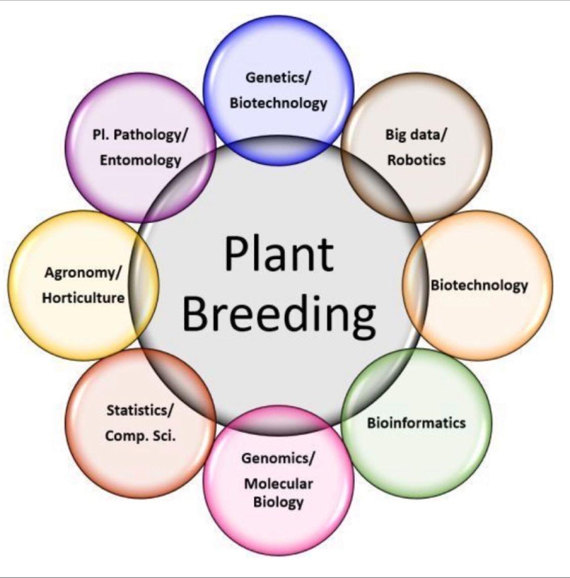 Dr Huzaifa Bilal posted on LinkedIn Dr Huzaifa Bilal posted on LinkedIn