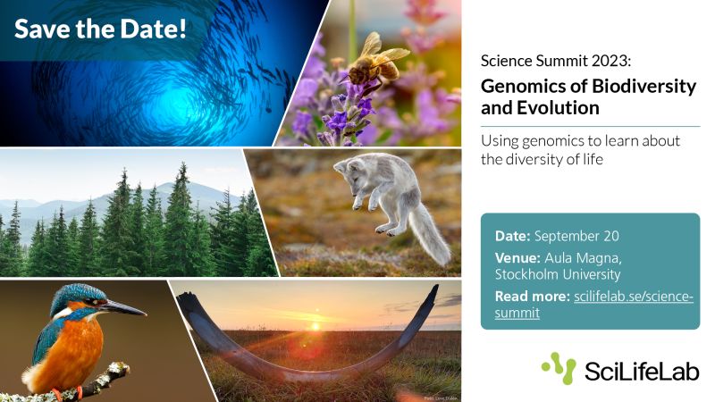 SciLifeLab on LinkedIn: This September, the SciLifeLab Science Summit ... SciLifeLab on LinkedIn: This September, the SciLifeLab Science Summit ...