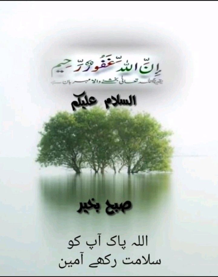 Muhammad Shahzaib posted on LinkedIn Muhammad Shahzaib posted on LinkedIn
